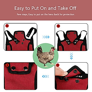 3 Pieces Premium Chicken Saddles with Adjustable Strap, Hen Saddle Sweater Clothes, Birds Protector for Back and Sides, Poultry Accessories for Hens, Suitable for 5-7.6lbs, Red & Blue & Purple