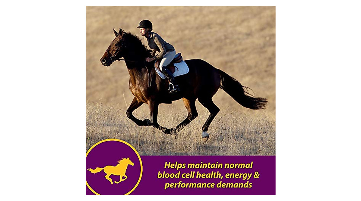 Horse Health Red Cell Supplement for Optimal Nutrition