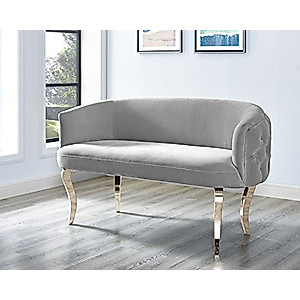 Tov Furniture The Adina Collection Contemporary Living Room Velvet Upholstered Loveseat, Grey with Gold Legs
