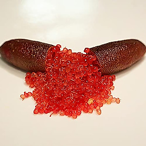 YEGAOL Garden 20Pcs Finger Lime Seeds Non-GMO Evergreen Spreading Perennial Low Maintenance Cooking Garden Plant Fruit Seeds