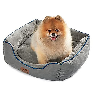 Bedsure Small Dog Bed for Small Dogs Washable - Cat Beds for Indoor Cats, 20 Inches Rectangle Cuddle Puppy Bed with Anti-Slip Bottom, Grey