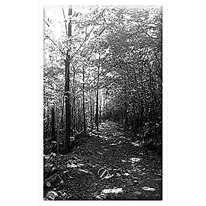 Single-Gang Blank Wall Plate Cover - Forest Woods Trail Trek Hike Path Nature Trees