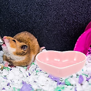 TEHAUX 3Pcs Ceramic Pet Bowls Heart Shaped Food Bowls for Cats Cute Hamster Food Containers Washable Hamster Feeder Bowls for Rabbit Guinea Pig Gerbil Hamster Chinchilla ( Pink+ Green+ Blue )