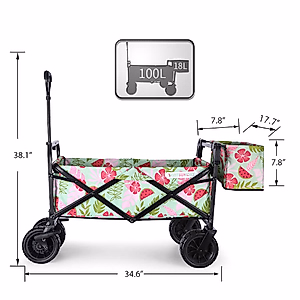 WHITSUNDAY Collapsible Folding Garden Outdoor Park Utility Wagon Picnic Camping Cart with Bearing and Brake 8" All Terrain Wheels with Rear Storage (Summer)