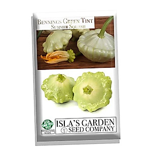 Bennings Green Tint Summer Squash, 30 Heirloom Seeds Per Packet, Patty Pan Squash, Non GMO Seeds, Botanical Name: Cucurbita Pepo, Isla's Garden Seeds