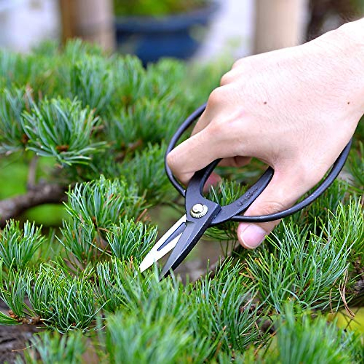 KAKURI Okubo Shears 7" (180 mm) Bonsai Scissors, Flower Arranging Scissors, Japanese Carbon Steel Professional Garden Tool, Black, Made in JAPAN