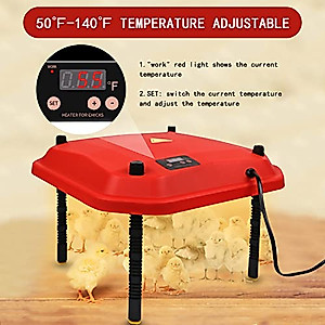 GIFANK Chicken Brooder Heating Plate for Chicks and Ducklings 16” x 16” Temperature Adjustable LED Display Adjustable Height,Safer Than Brooder Lamps Heater,Keeps Up to 30 Chicks Warm,42W