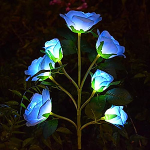 Chasgo Blue Rose Flower Lights Solar Garden Stake Lights with 7 LED Rose Lights Outdoor Waterproof Solar Decorative Lights for Garden Yard Lawn Memorial Cemetery Decoration