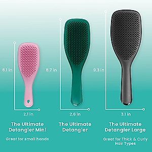 Tangle Teezer | The Wet Detangler Hairbrush for Wet & Dry Hair | For All Hair Types | Eliminates Knots & Reduces Breakage | Green Jungle