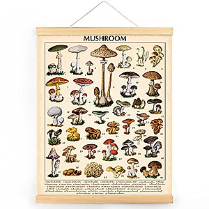 Vintage Mushroom Poster Fungus Wall Art Prints Rustic Mushroom Wall Hanging Illustrative Reference Chart Poster for Living Room Office Classroom Bedroom Dining Room Decor Frame, 15.7 x 19.7 Inches