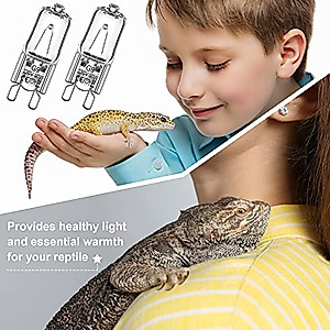 12 Pcs Mini Halogen Bulb Reptile Light G9 Uvb Bulbs Lamp Basking and Night Time Bulb Halogen Bulbs Beads Heat Lamp for Reptiles (50 Watts)