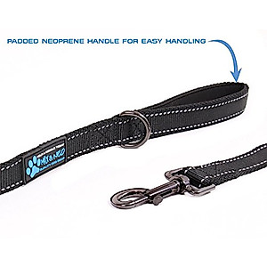 Max and Neo Reflective Nylon Dog Leash - We Donate a Leash to a Dog Rescue for Every Leash Sold (Black, 6x1)