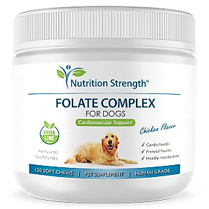 Nutrition Strength Folate for Dogs to Promote Cardiovascular & Prenatal Health, Support DNA Synthesis & Cell Maintenance, Folic Acid for Dogs with Zinc, Biotin, Iron & Vitamin B12, 120 Soft Chews