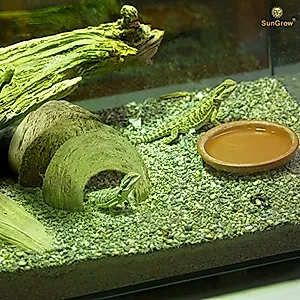 SunGrow Hermit Crab Huts, 5x3 Inches, Arthropod's Coconut Hide, Spacious Coco Tunnel, Use as Hermit Cave or Climber, 1-Pc