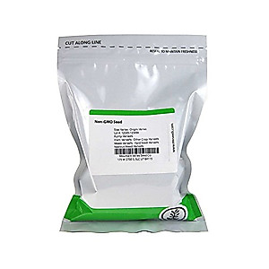 Spinach Garden Seeds - New Zealand - 4 Gram Packet - Non-GMO Vegetable Gardening Seeds - Tetragonia tetragonoides