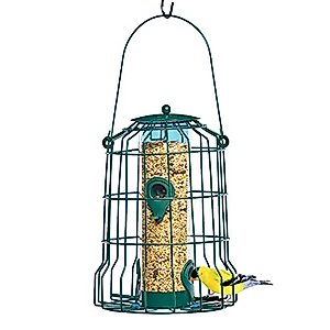 Collections Etc Easy View 4-Perch Steel Cage Birdfeeder - 8 oz. Capacity