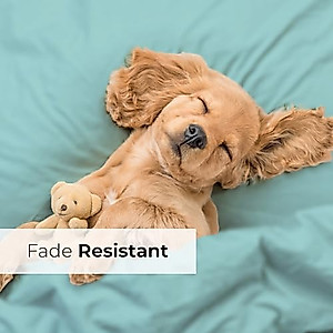 Extra Deep Queen Sheet Set - 6 Piece Breathable & Cooling Sheets - Hotel Luxury Bed Sheets Set - Easy Fit - Soft, Wrinkle Free & Comfy Sheets Set - Spa Blue Sheet Set w/Extra Deep Pockets