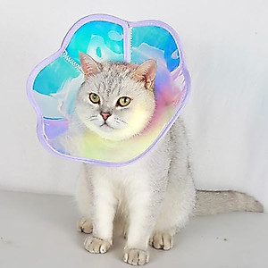 PASNMKvn AntiBite Injury Elizabethan Collar for Cats Dogs Safe Waterproofs Collar Pet Wound Recovery Licking Kitten Collar