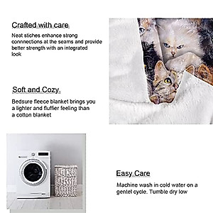 YISUMEI Orange Cat Baby Throw Blanket Kitty Loves Orange Cat Combo Fleece Blanket Soft Warm Cozy for Kids Adult Gifts 50"x60"