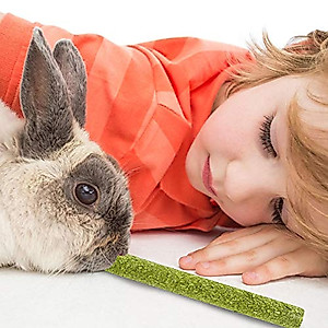 NC Timothy Hay Sticks for Rabbits Guinea Pig Hamsters Chinchilla Bunny Chew Toys for Teeth Treats Accessories