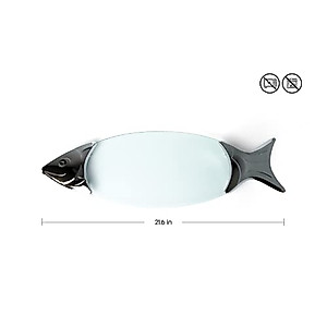 Rigeli Regent Chromeplated Salmon Glass Serving Tray Serving Platter Fish/Sushi Platter Food Trays, Fish Plate Glass+ Stainless Steel