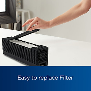 Brother AirSure DF-2 Dynamic Filtration Tabletop and Portable Air Purifier, Aids in Capturing Foreign Particles, Face, Close Contact Situations, Black