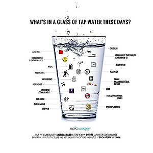 Epic Water Filters | Replacement Everywhere Bottle Filter Replaces Everyday & Outdoor | 4-Month | 75 gal | Removes Lead, Chlorine, PFOA'S, Bacteria, Iron, Pesticides, Pharmaceuticals, Virus, PFOS