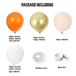 DUBEDAT Orange White Gold Balloon Garland Little Cutie Baby Shower Decorations with Eucalyptus,Orange and White Balloons,Gold Balloons for Girls Birthday,Baby Shower,Gray and Peach Wedding