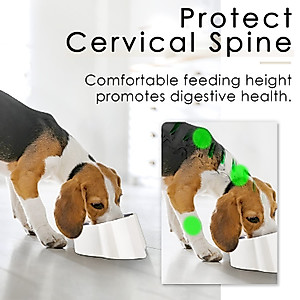 CheerPaws Large Tilted Dog Food Bowl, 15°Slanted Dog Bowl for French Bulldogs No Spill Slanted Dogs Bowl Elevated 1.5 Cup Dog Bowls for Flat Faced Dogs Raised Dog Water Food Bowl Angled Tilted White