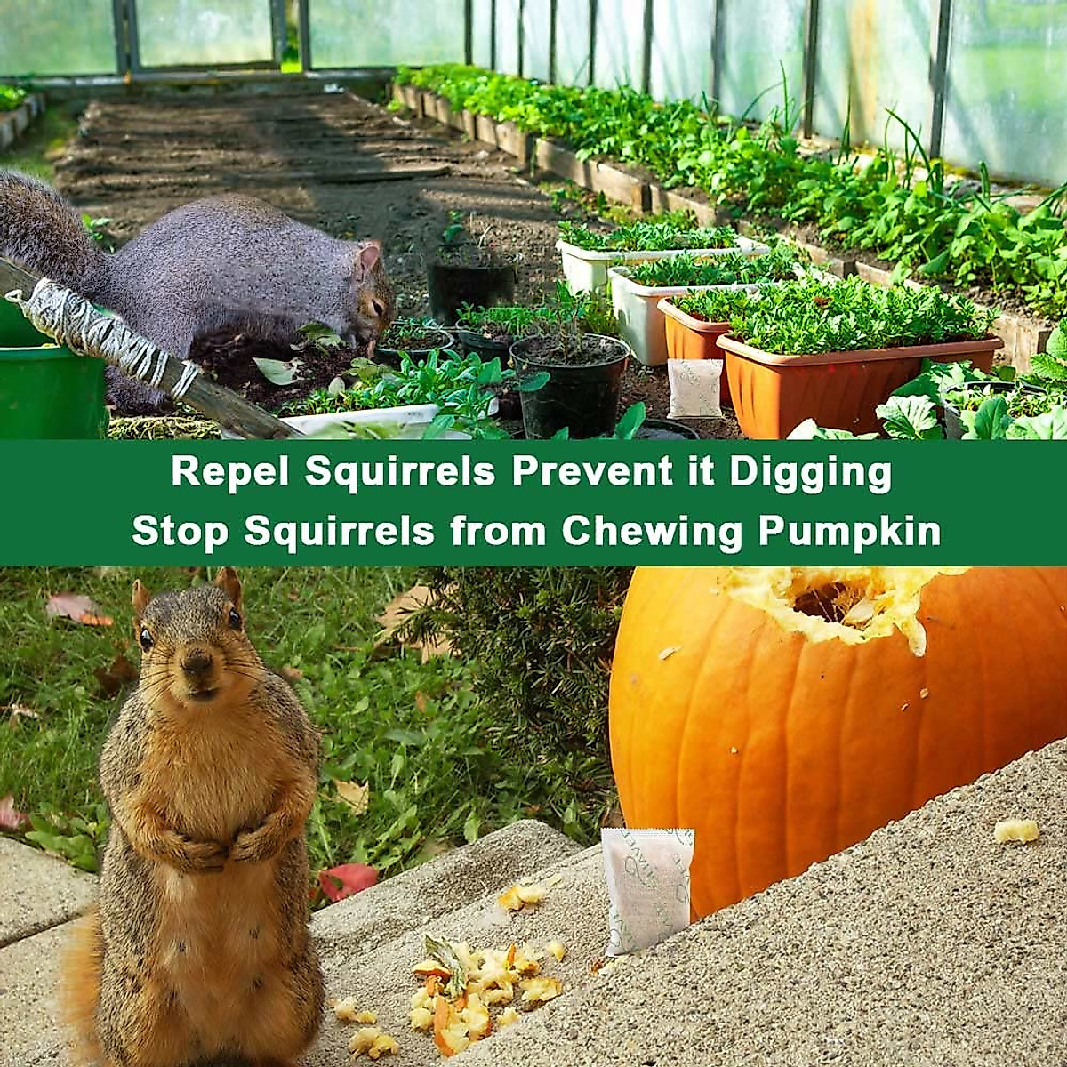 SUAVEC Squirrel Repellent, Chipmunk Repellents, Squirrel Deterrent for Garden, Keep Squirrel Away for Attic, Indoor Mint Squirrel Repellents for Plant, Repellent Squirrel for Bird Feeders-8 Pouches