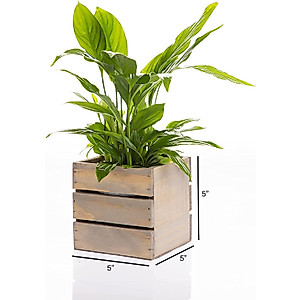 Wood Planter Box with Wine Crate Styled, 5 Inch Square, Rustic Barn Wood, Plastic Liner, Wedding Flowers Holder, Home and Venue Decor, (5x5 Wine Crate Set of 4)