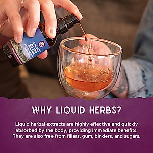 WishGarden Herbs Gum Strength Oral Health Aid - Natural Oral Gum Rinse Supplement for Adults with Myrrh & Usnea, Gum Health Mouthwash Supports Healthy Inflammatory Response and Oral Microbiome, 2oz