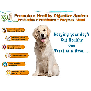 PureOptima Probiotics Chews for Dogs, Digestive Enzymes + Prebiotics Improves Digestion, Diarrhea, Constipation, Gas, Bad Breath, Leaky Gut, Allergy Immunity Daily Supplement 120 Counts