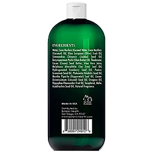 Botanic Hearth Tea Tree Body Wash, Helps with Nails, Athletes Foot, Ringworms, Jock Itch, Acne, Eczema & Body Odor, Soothes Itching & Promotes Healthy Skin and Feet, Naturally Scented, 16 fl oz