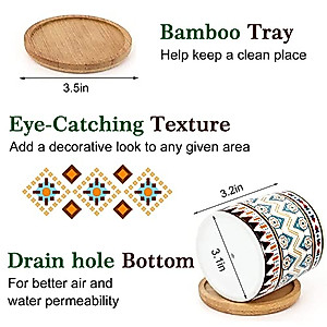 Feoxialy Succulent Plant Pots 6 Pack with Drainage 3.1 Inch Cylinder Flower Pots Small Ceramic Pots for Plants Indoor&Outdoor Garden Flower Planter Tray for All House Plants/Succulents/Flowers/Cactus