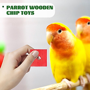 Parrot Toys 100 Pcs Wooden Blocks Bird Chewing Toy Beak Trim Parrot Foot Craft Cage Part Toy Mini Wood Chip Charms for DIY Playing Chewing Shredding Mixed Large Bird Toys