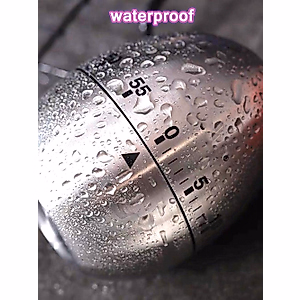 Egg Timer Wind up Timer Kitchen Timer Cooking Timer Reminder Timer Mechanical Reminder Cute Timer Mechanical Rotating Alarm with 60 Minutes for Cooking (Silver)