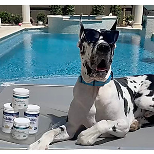 Lively Paws™ Mobility 10 Hip & Joint Care Supplement for Dogs- Soft Chews with Glucosamine, MSM, Green-Lipped Mussel, Manganese, Chondroitin & Vitamin C