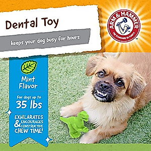 Arm & Hammer for Pets Nubbies Dental Toys T-Rex Dental Chew Toy for Dogs Best Dog Chew Toy for Moderate Chewers Reduces Plaque & Tartar Buildup Without Brushing, Mint Flavor (Pack of 1)