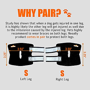 NeoAlly - Short Rear Leg Hock Brace, Dog Leg Brace for Rear Leg, Hock & Ankle Support, Dog Brace for Torn ACL & CCL, Dog Leg Sleeve with Reflective Straps, Small, Black, 1 Pair