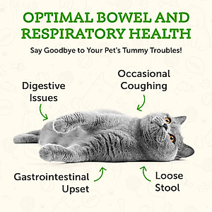 Animal Essentials Slippery Elm - Herbal Extract for Dogs and Cats, Promotes Healthy Digestion, Bowel Function, Certified Organic Herbs, All Natural, Respiratory Health, Liquid Formula - 1 Fl Oz