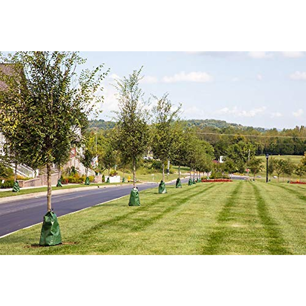 20 Gallon Slow-Release Tree Watering Bag