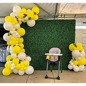 OUOshield 124pcs Yellow Balloons Garland Arch Kit Lemon Daisy Honeybee Theme Light and Gold for Birthday Parties, Wedding, Baby Shower Party, Anniversary Party Decoration