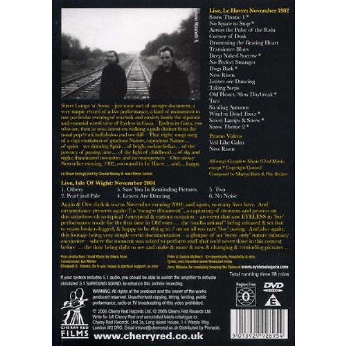 Eyeless in Gaza: Saw You in Reminding Pictures