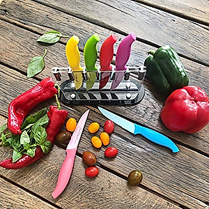 Jean-Patrique Non-Stick Steak Knife 6 Piece Set | Steel Blades Protector FREE Perspex Clear Knives Block