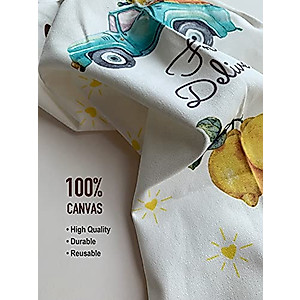 Hglian Farmhouse Grocery Plastic Bag Holder Dispenser Cute Market Fresh Lemons Buffalo Check Truck Shopping Trash bags Storage Container Organizer Lemons Kitchen Decor Yellow Blue