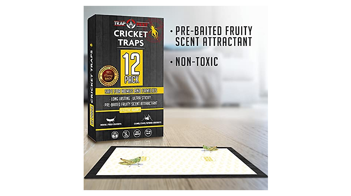 Extra Large Bug Sticky Traps - Non-Toxic Cricket Solution