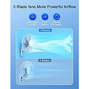 Delvit Wall Mount Fan, 16 inch Wall Fan with 5 Blades,3 Speeds, 90° Oscillating Adjustable Tilt, ETL Certified for Bedroom Office Warehouse Workshop Patio and Basement,white.