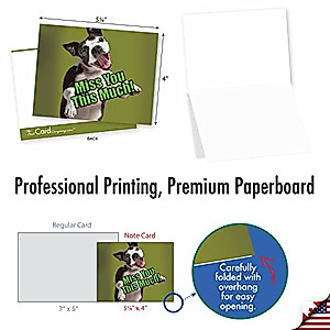 The Best Card Company - 10 Blank Assorted Notecards w/Envelopes (4 x 5.12 Inch) - Boxed Greetings with Dogs, Thinking of You Sentiments - Pet Puppies, Animal - Dog Miss You This Much M6600MYB