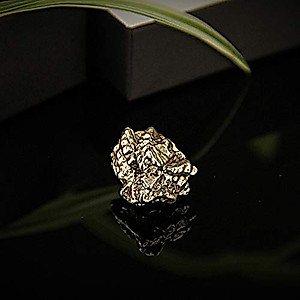 Large Massive 10-330 Grams Meteorite Specimen, Campo Del Cielo Meteorite with Gift Box, Moon Rock Sample, Astronomy Gifts for Space Fans, Great for Science Classrooms, Rocks Collection